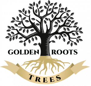 Golden Roots Trees
